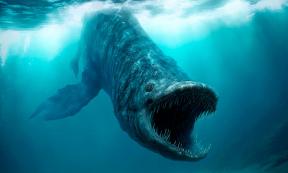 Loch Ness monster | Ancient Origins