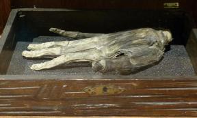 Hand of Glory | Ancient Origins