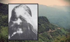 Wildman | Ancient Origins