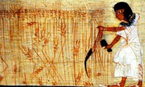 fertilizer | Ancient Origins