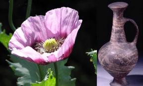 Evidence of Opium Use By Canaanites in 14th Century BC Found | Ancient ...