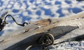 1300-year-old Prehistoric Ski Found in Norway Completes a Pair ...