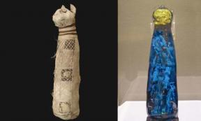 cat | Ancient Origins