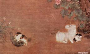 cats | Ancient Origins