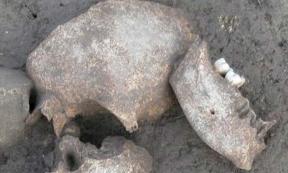 heads | Ancient Origins