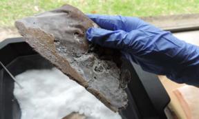 feces | Ancient Origins