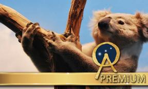 Diprotodontidae | Ancient Origins