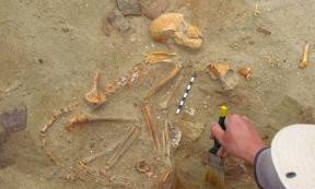 monkeys | Ancient Origins