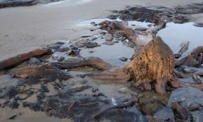 Sunken Hundreds | Ancient Origins